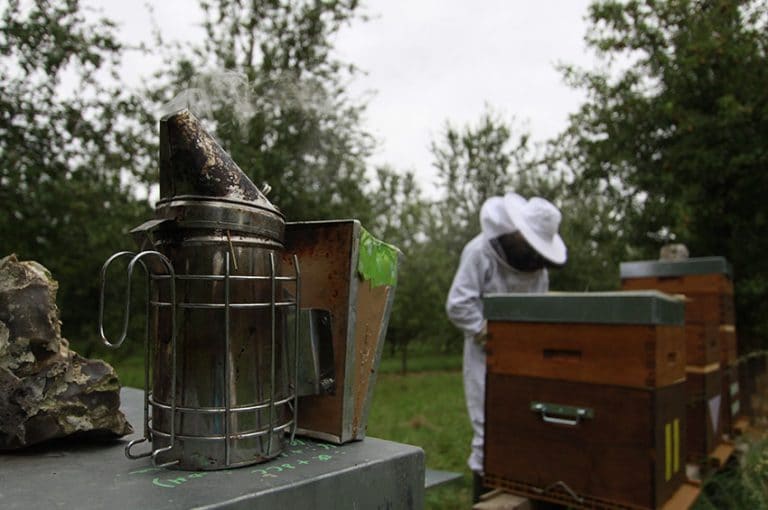 Comment bien choisir son matériel d'apiculture ? - Ruches.net